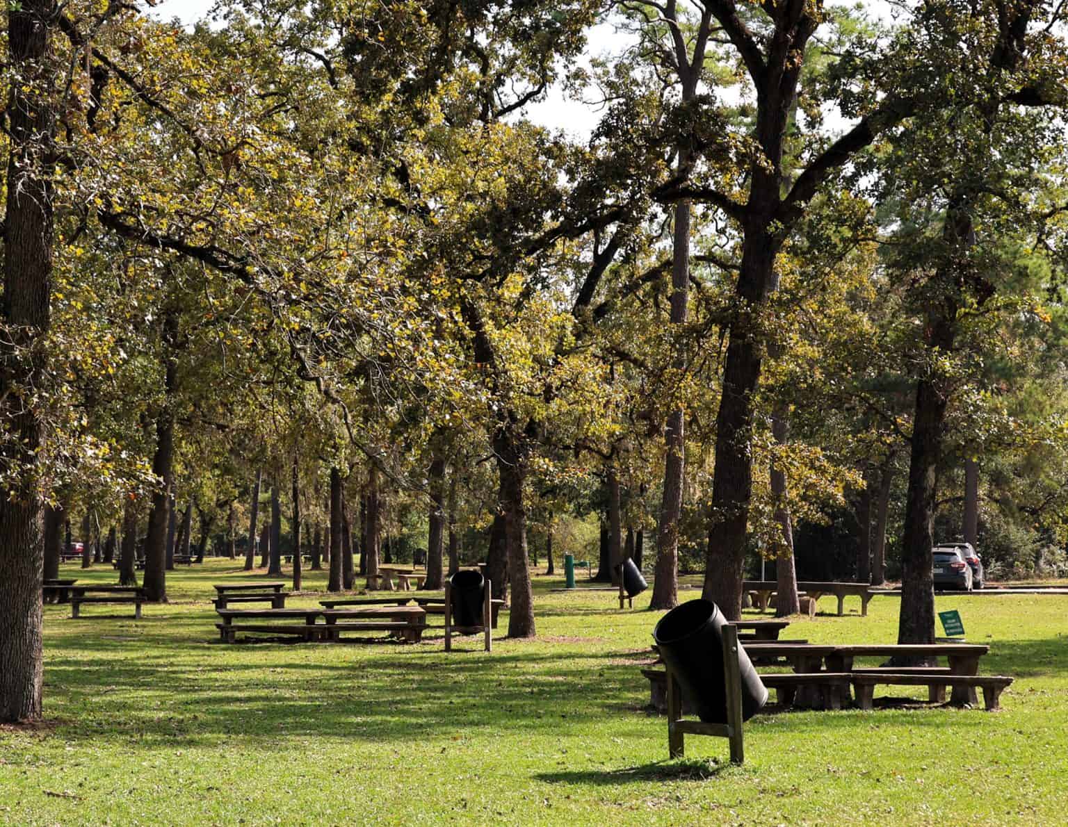 Picnic Loop at Memorial Park | Pavilions & Picnic Areas
