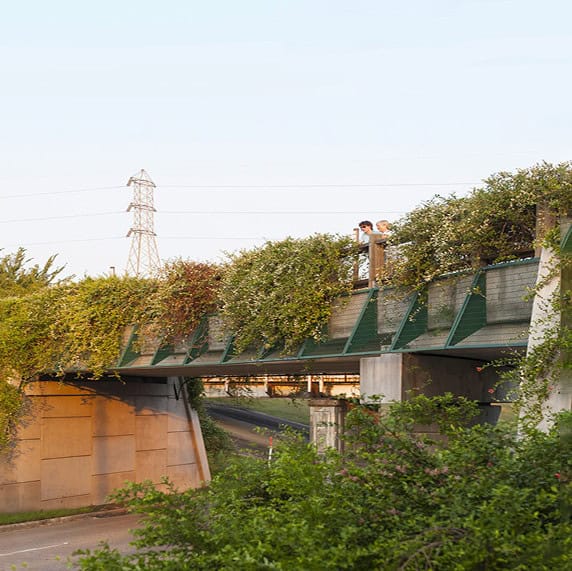 Living Bridge at Memorial Park Houston | Scenic Pedestrian Path
